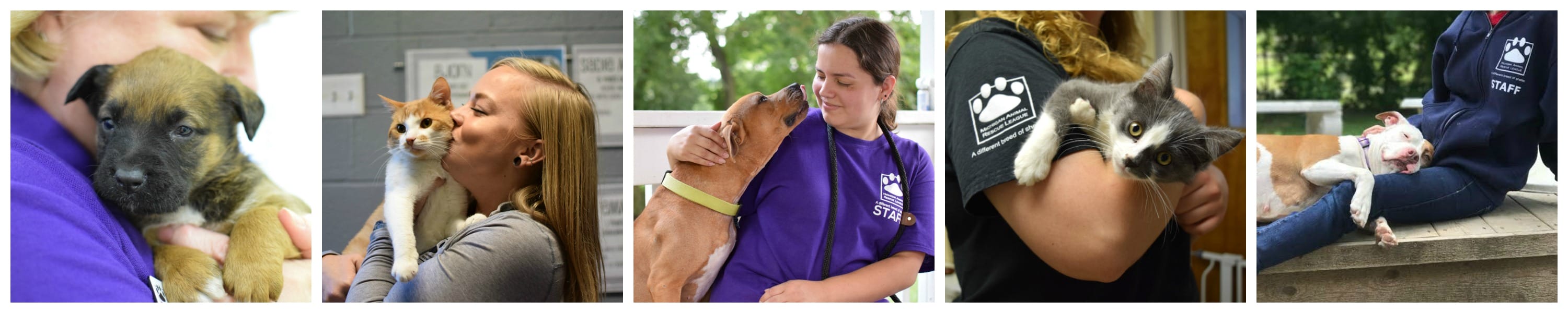 Who We Are – Original – Michigan Animal Rescue League