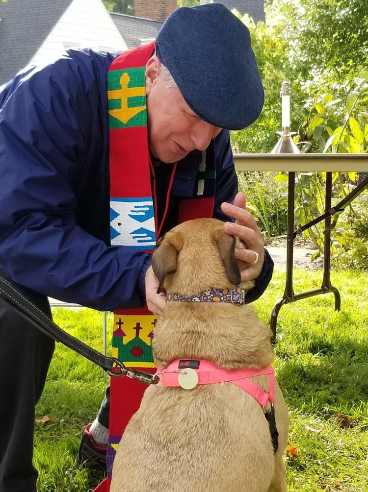 Humans and their pets invited to family-friendly event in Rochester ...