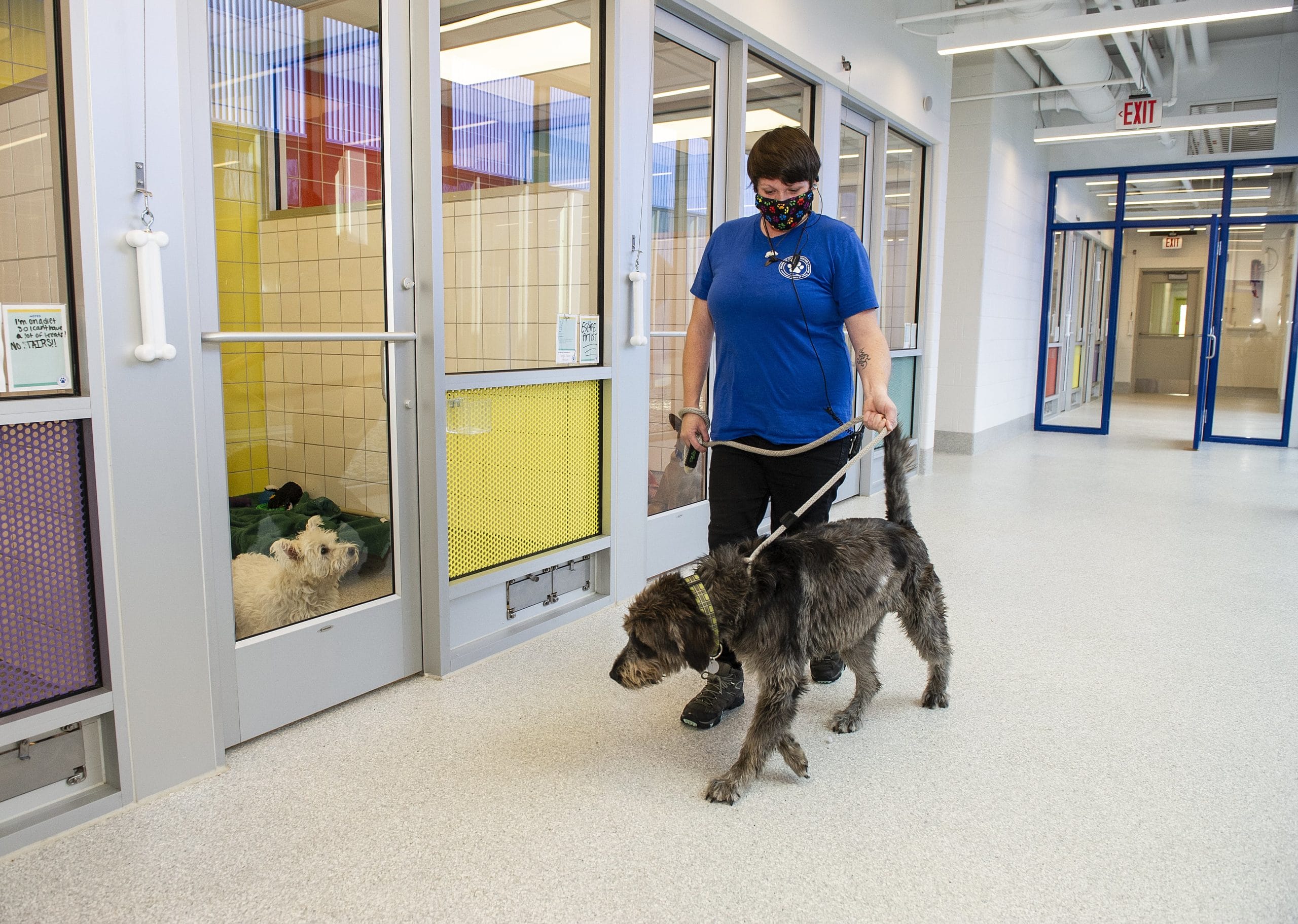 Who We Are – Michigan Animal Rescue League