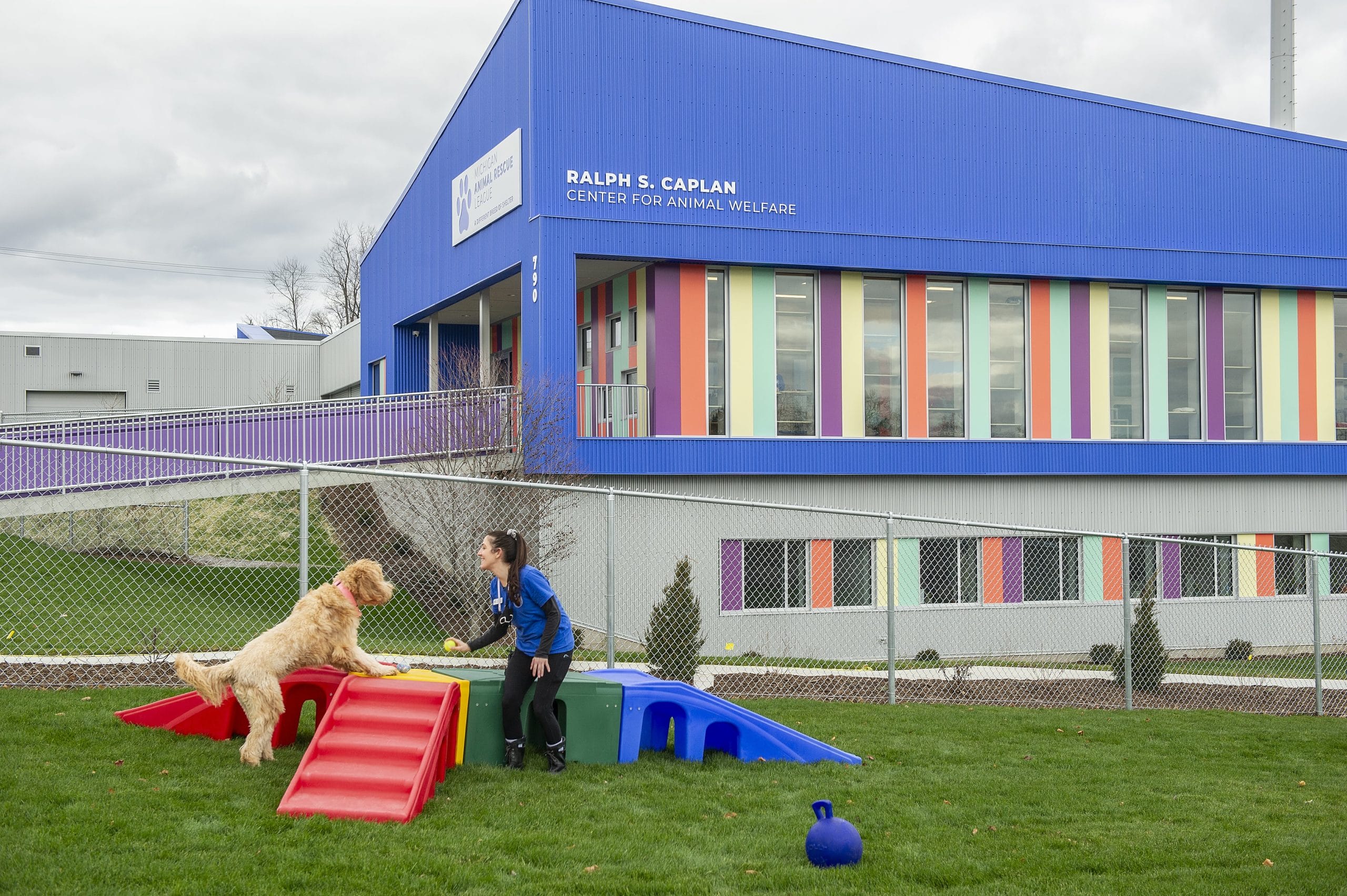 Who We Are – Michigan Animal Rescue League